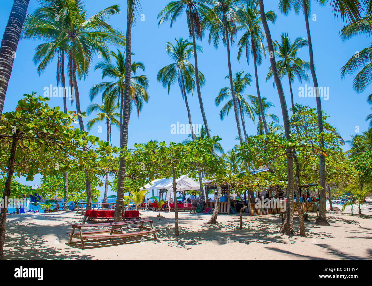 Tropical beach in Tortuga island , Costa Rica Stock Photo - Alamy