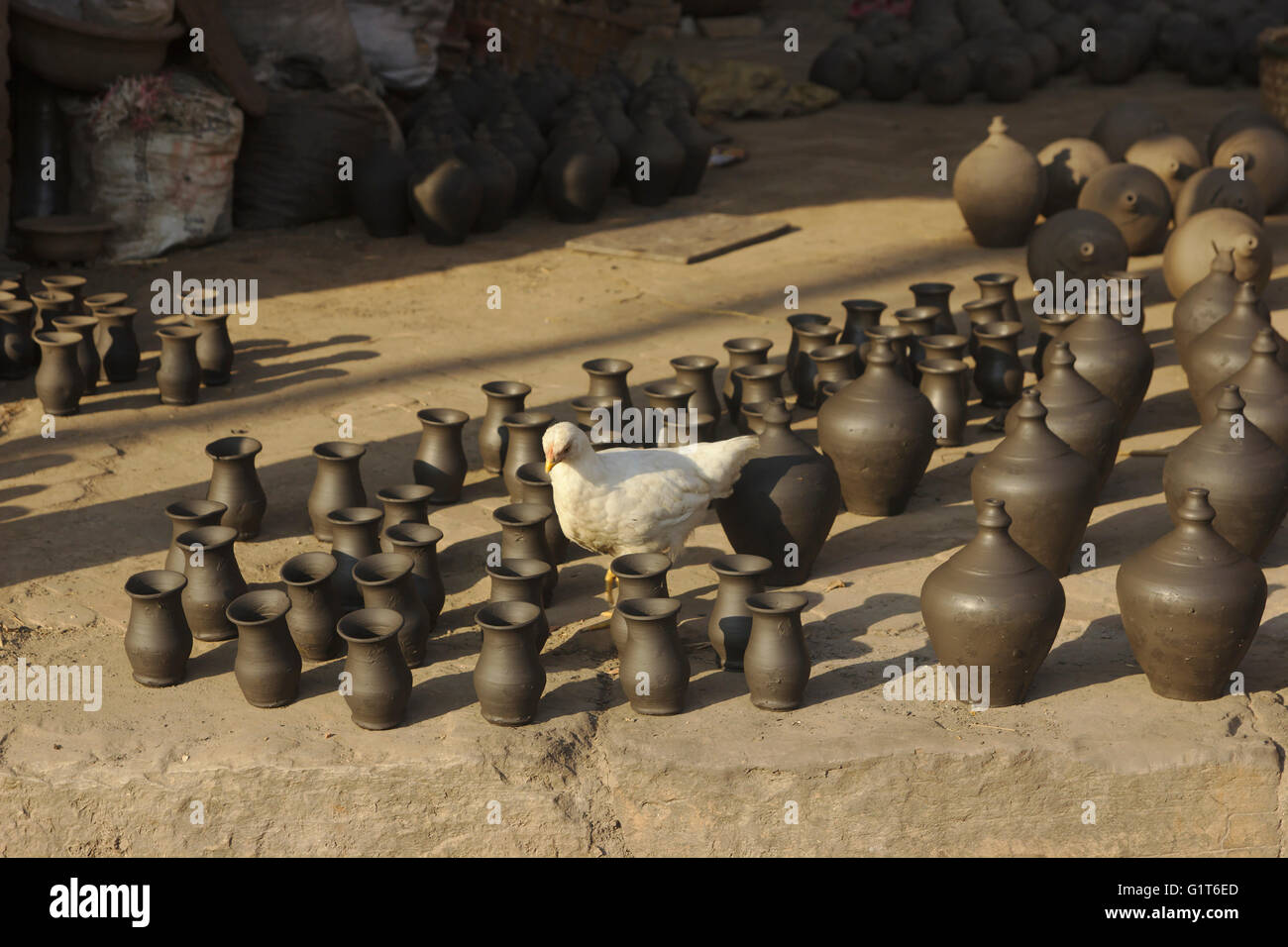 Pottery Square, pottery drying in the sun, chicken, Bhaktapur, Nepal ...