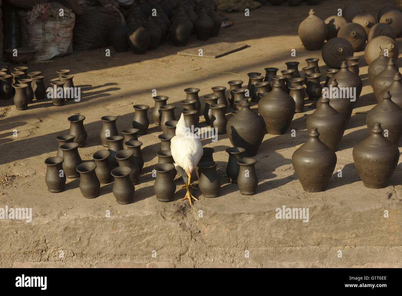 Pottery Square, pottery drying in the sun and chicken, Bhaktapur, Nepal ...