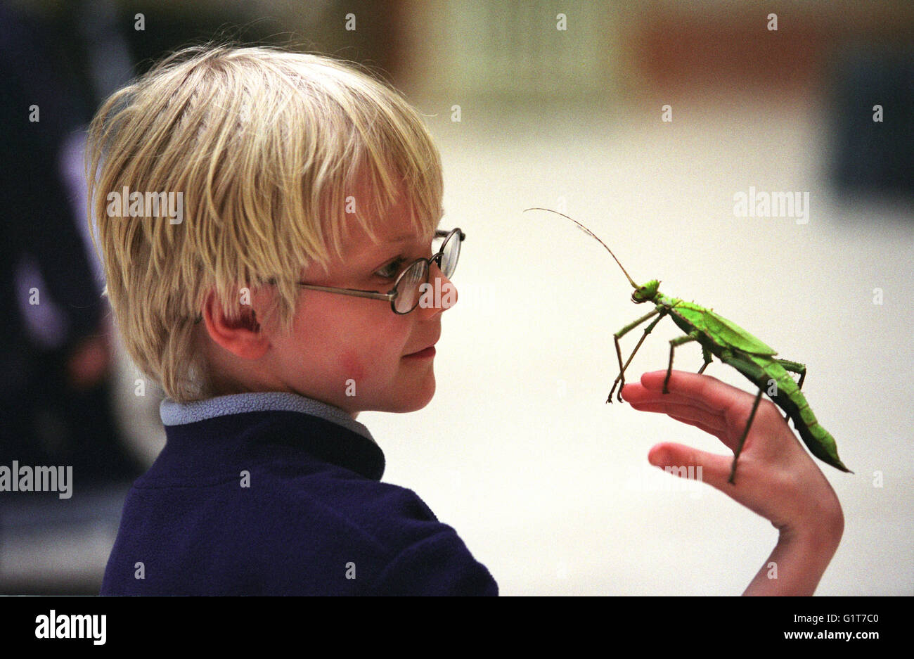 Schoolkid with giant Insect jemima the Jungle Nymph at Royal Museum of ...