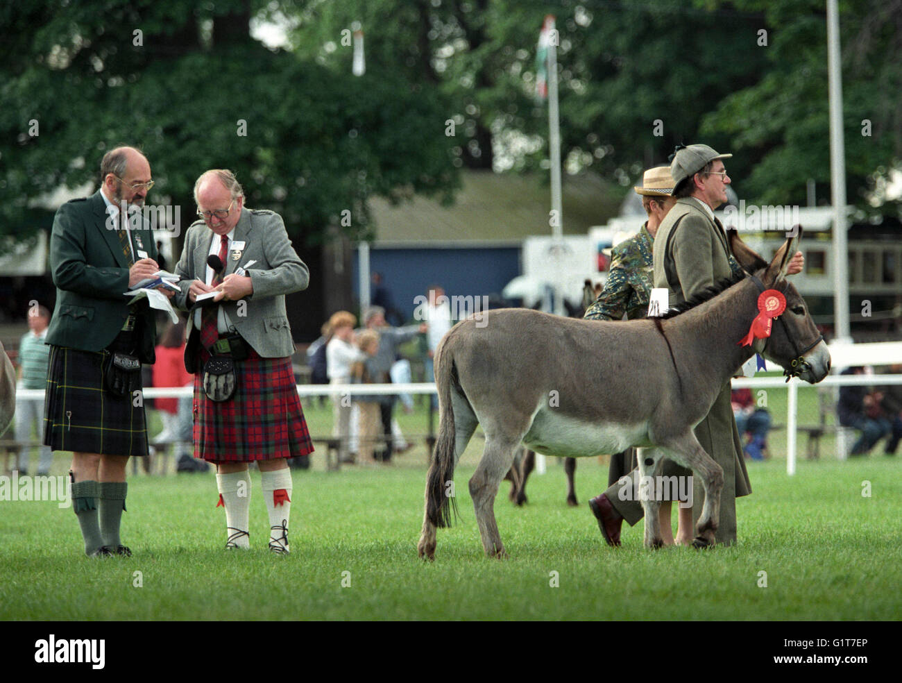 Royal Highland Agricultural Show Edinburgh Scotland Donkey judging ...