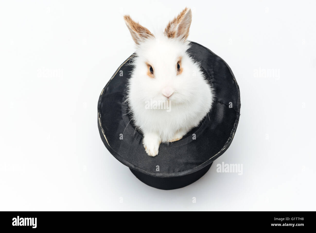 Fleecy hat hi-res stock photography and images - Alamy