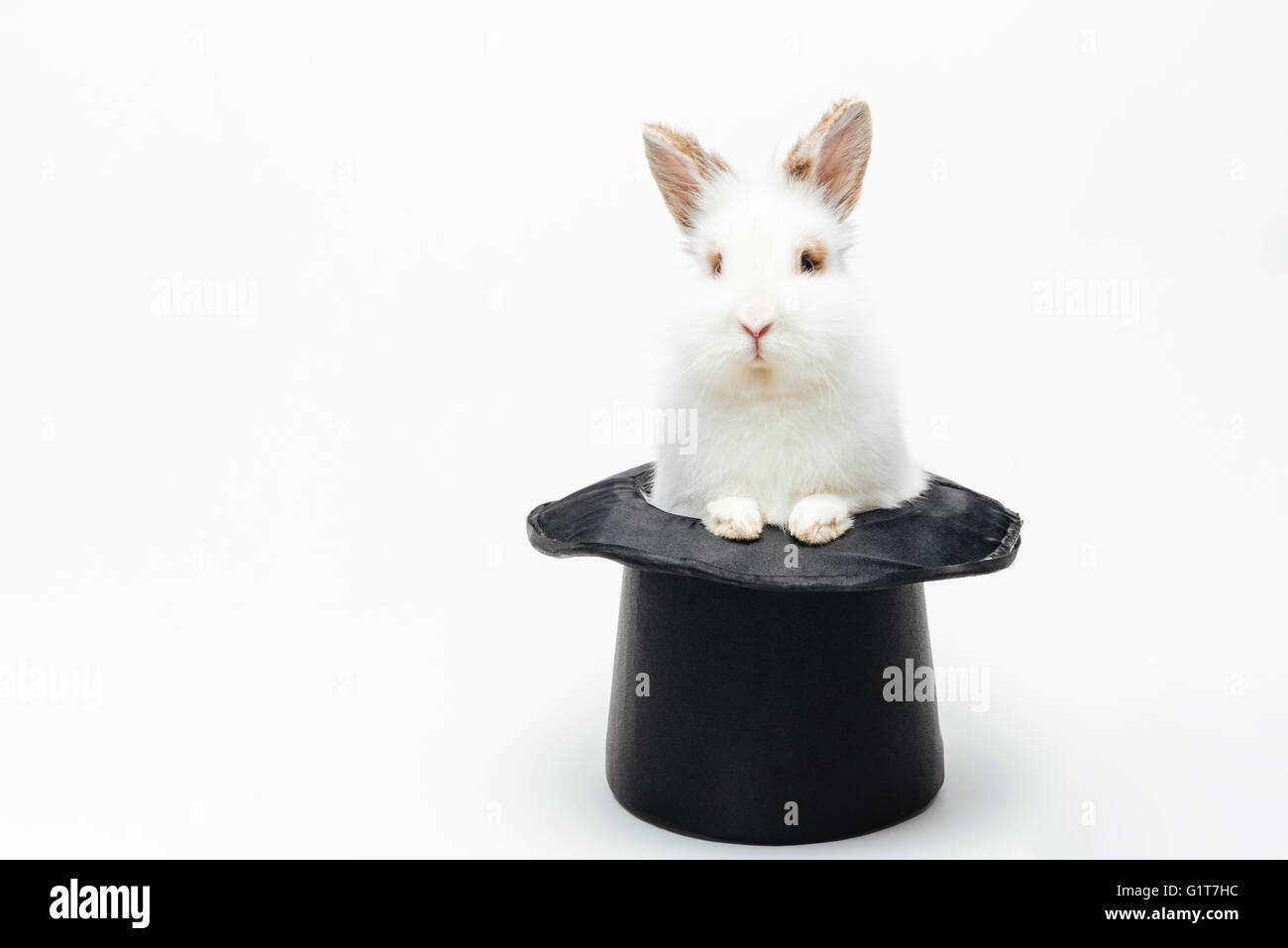 Rabbit in a hat Stock Photo - Alamy