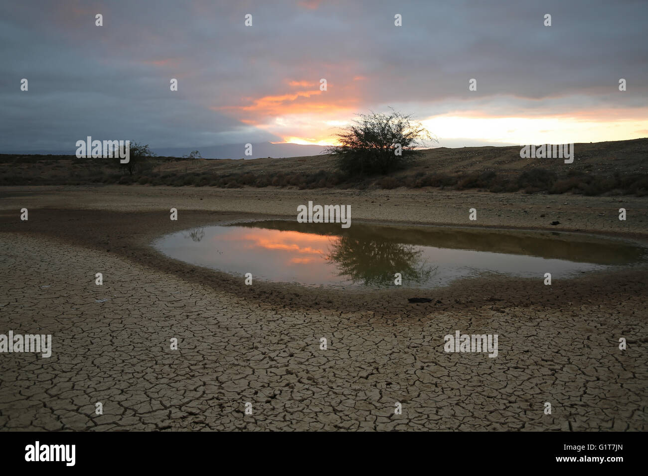 Cracked floor of a partially dried up farm dam during drought Stock ...