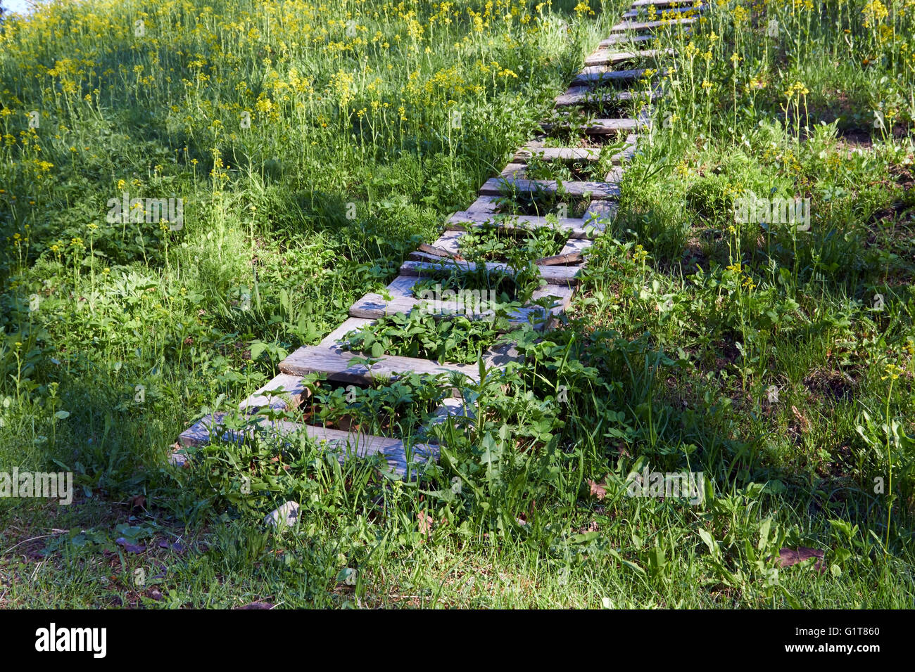 Going up on ladder hi-res stock photography and images - Alamy