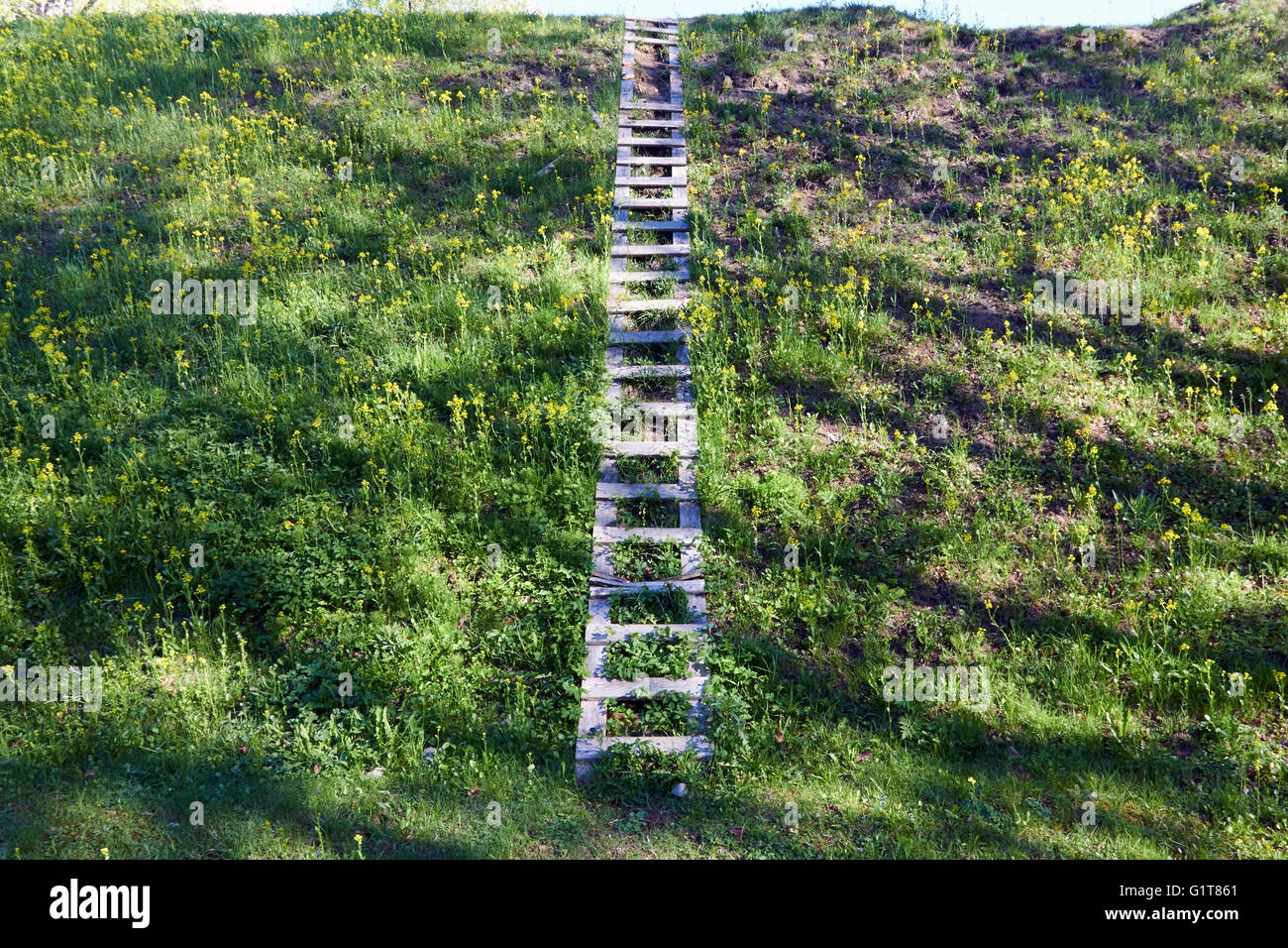Old wooden ladder hi-res stock photography and images - Alamy