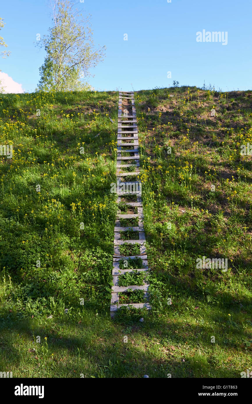 Old wooden ladder hi-res stock photography and images - Alamy