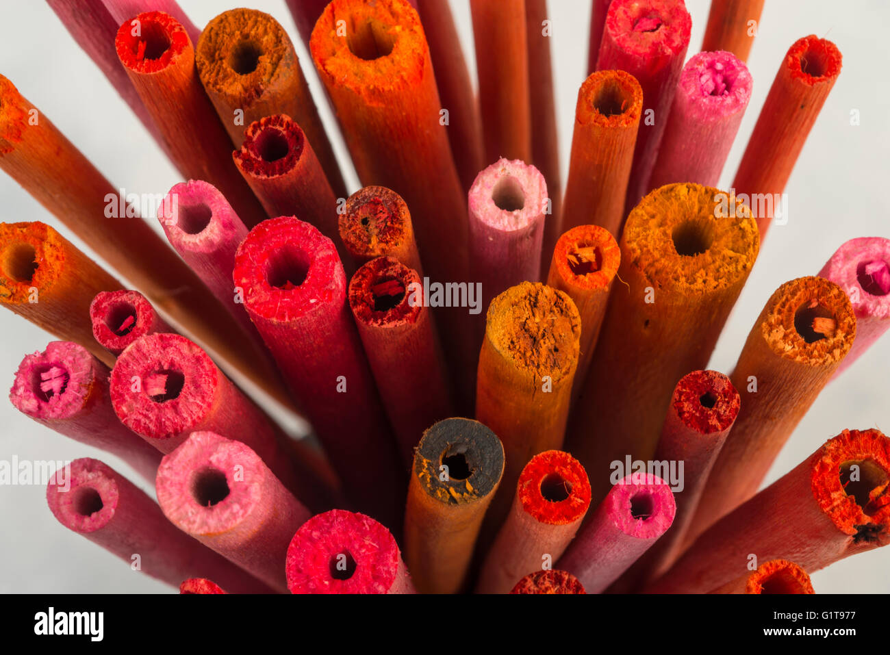 Home scent hi-res stock photography and images - Alamy