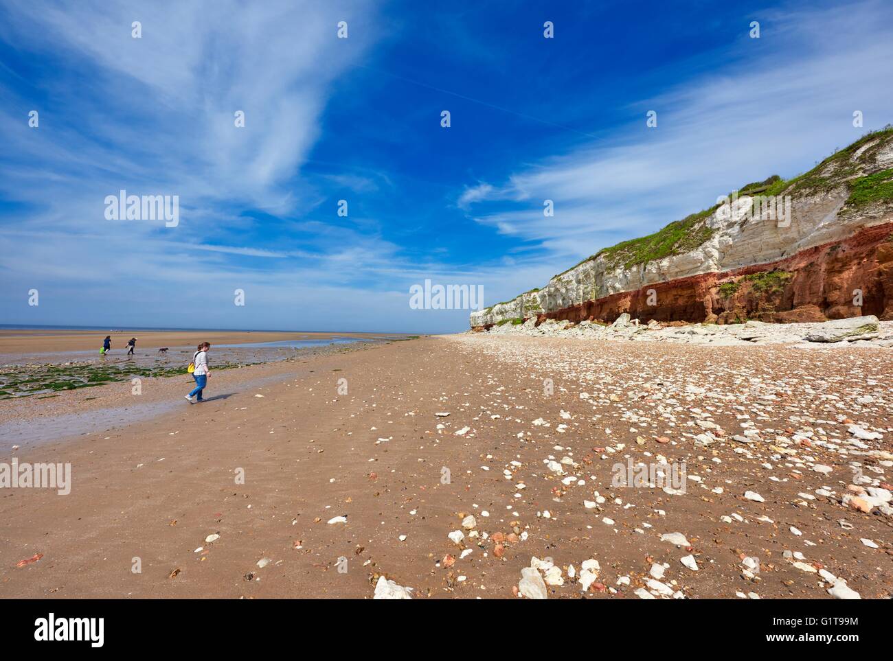 Old Hunstanton beach and cliffs Norfolk England UK Stock Photo - Alamy