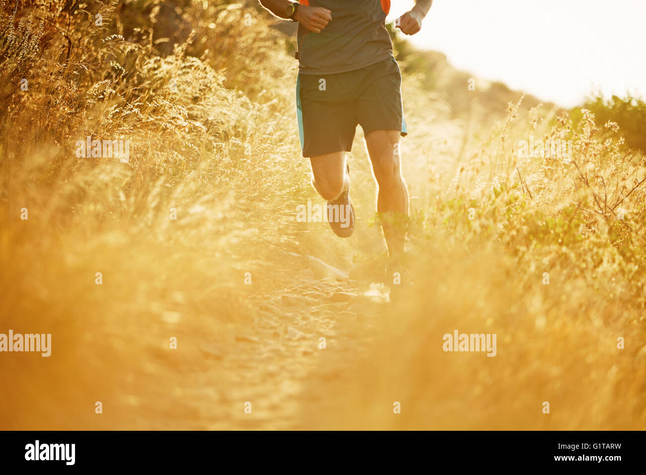Man running on sunny trail through tall grass Stock Photo - Alamy