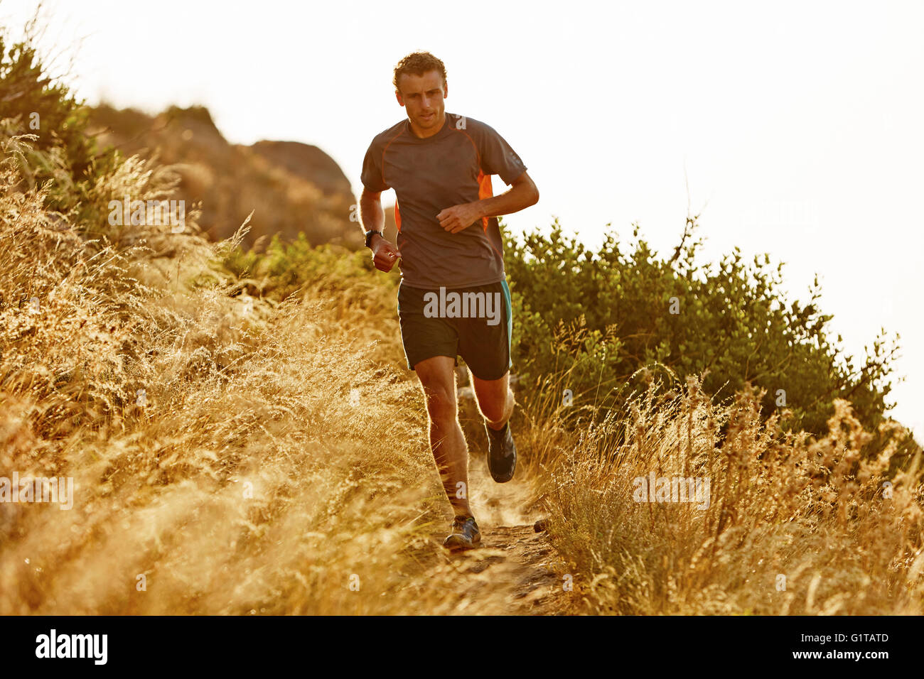 Man running on trail through tall grass Stock Photo - Alamy