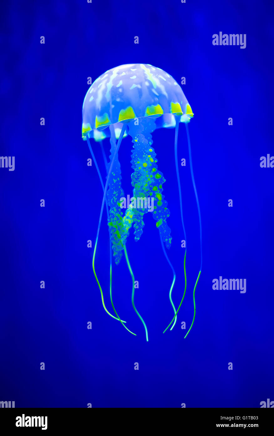 Real life preparation hi-res stock photography and images - Alamy