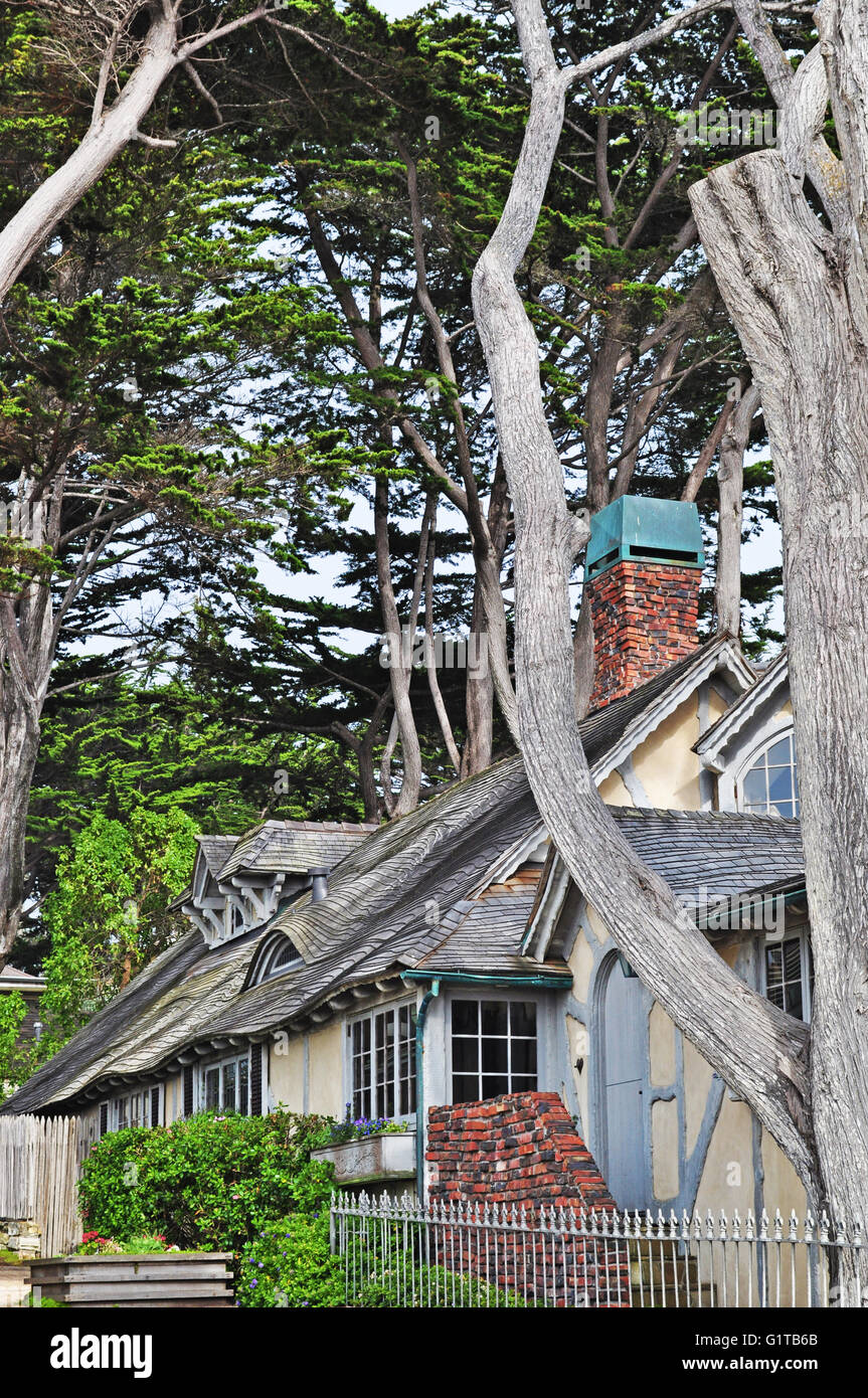 California, United States of America, Usa: the skyline of Camel by the ...