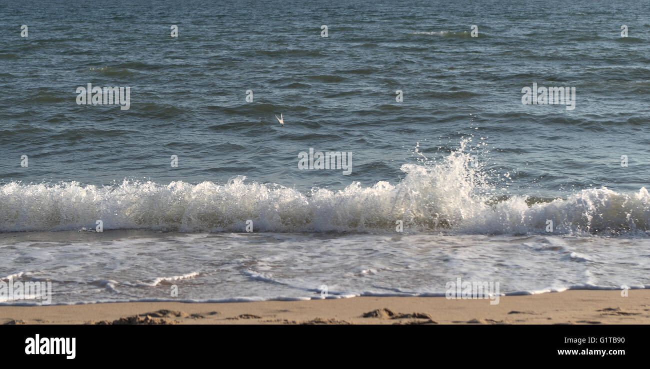 Beach waves coming. Summertime and vacation destinations Stock Photo ...