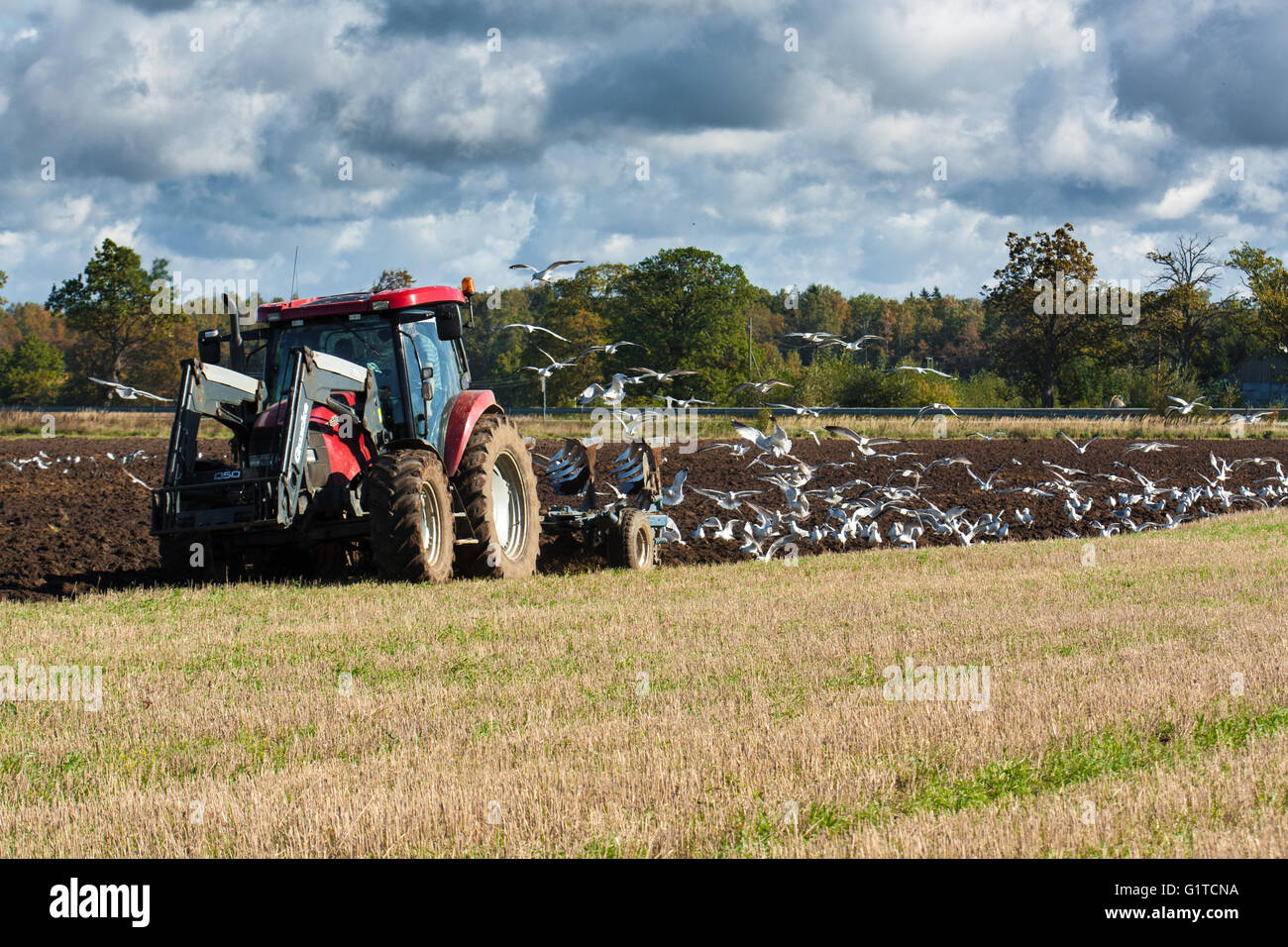 Tractor plowing field hi-res stock photography and images - Alamy