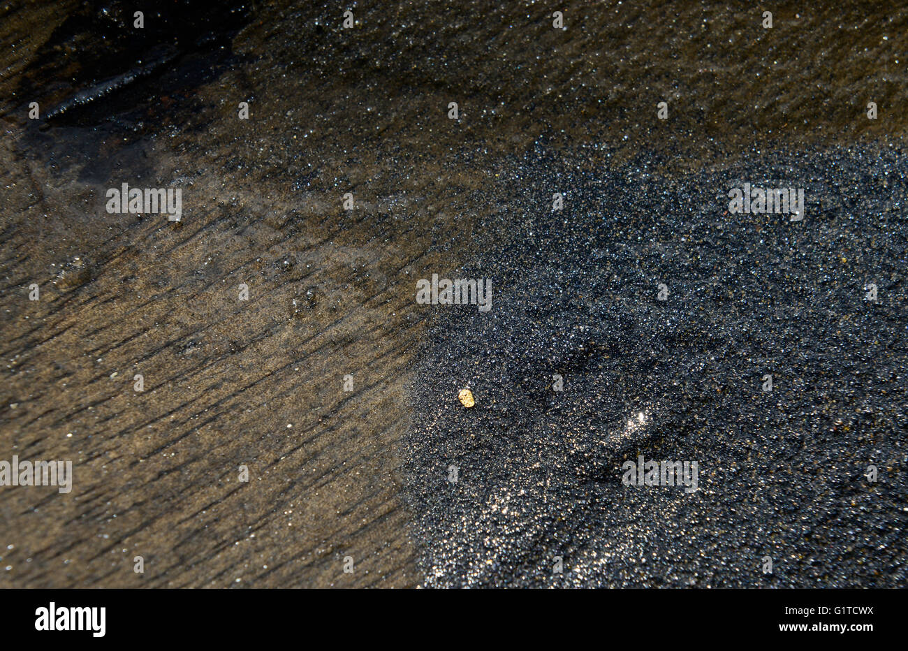 MADAGASCAR, region Mananjary, town Vohilava, small scale gold mining ...