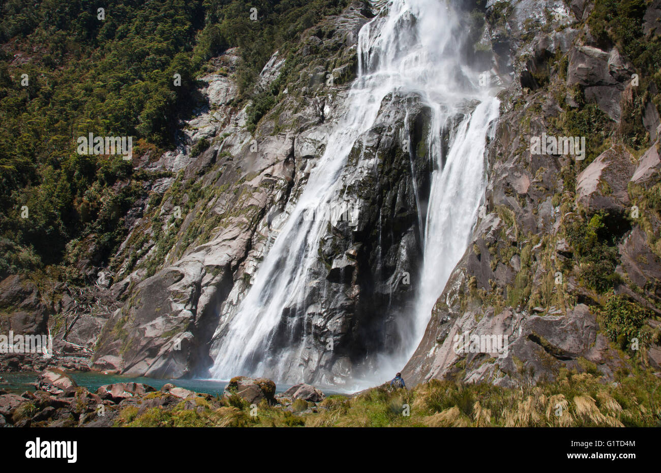 Falls creek fiordland national park hi-res stock photography and images ...