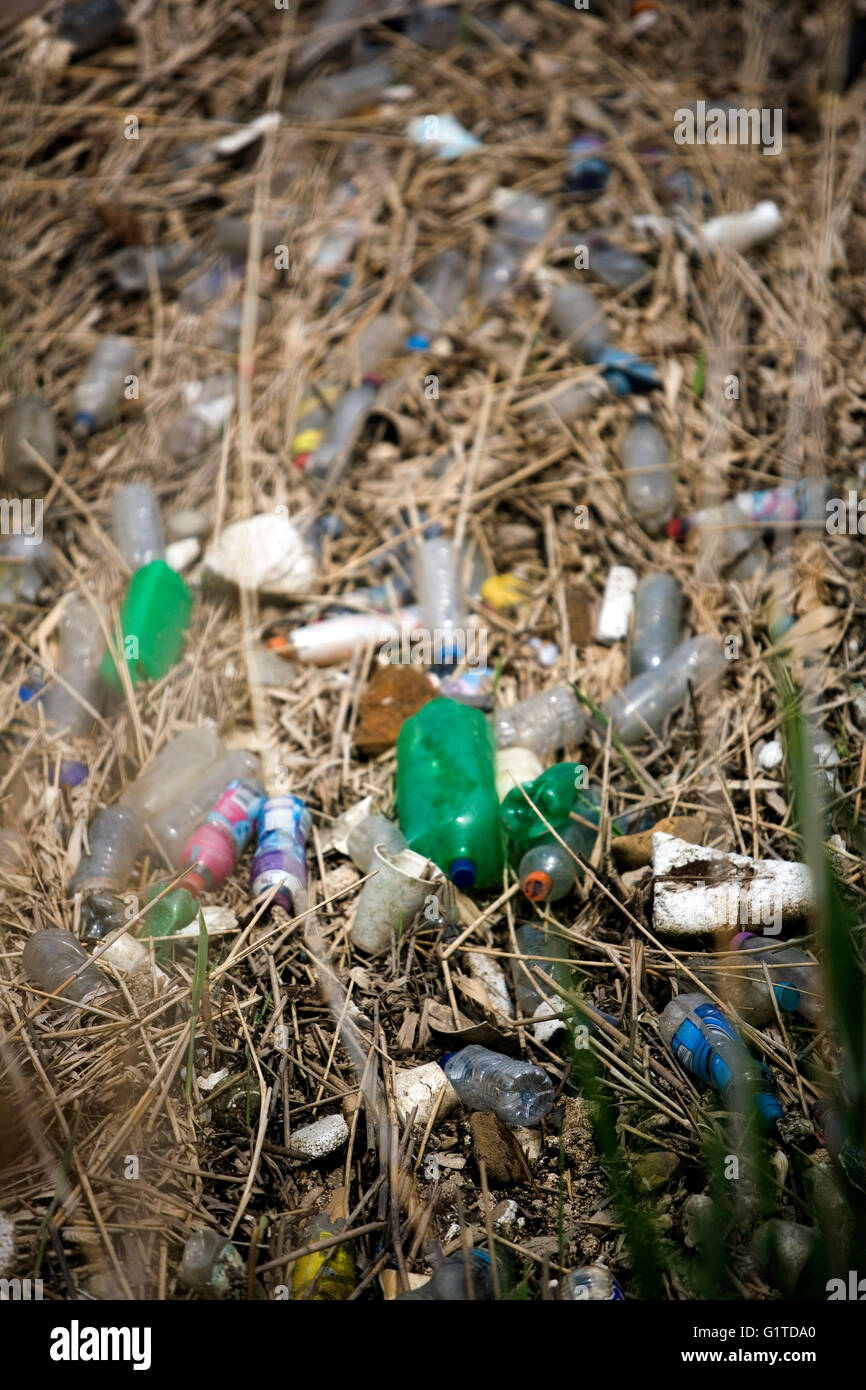 Rubbish accumulates in East India Dock Basin, in east London, Britain ...