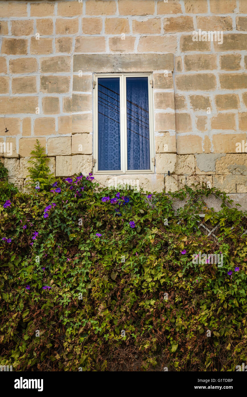 Maltese house hi-res stock photography and images - Alamy