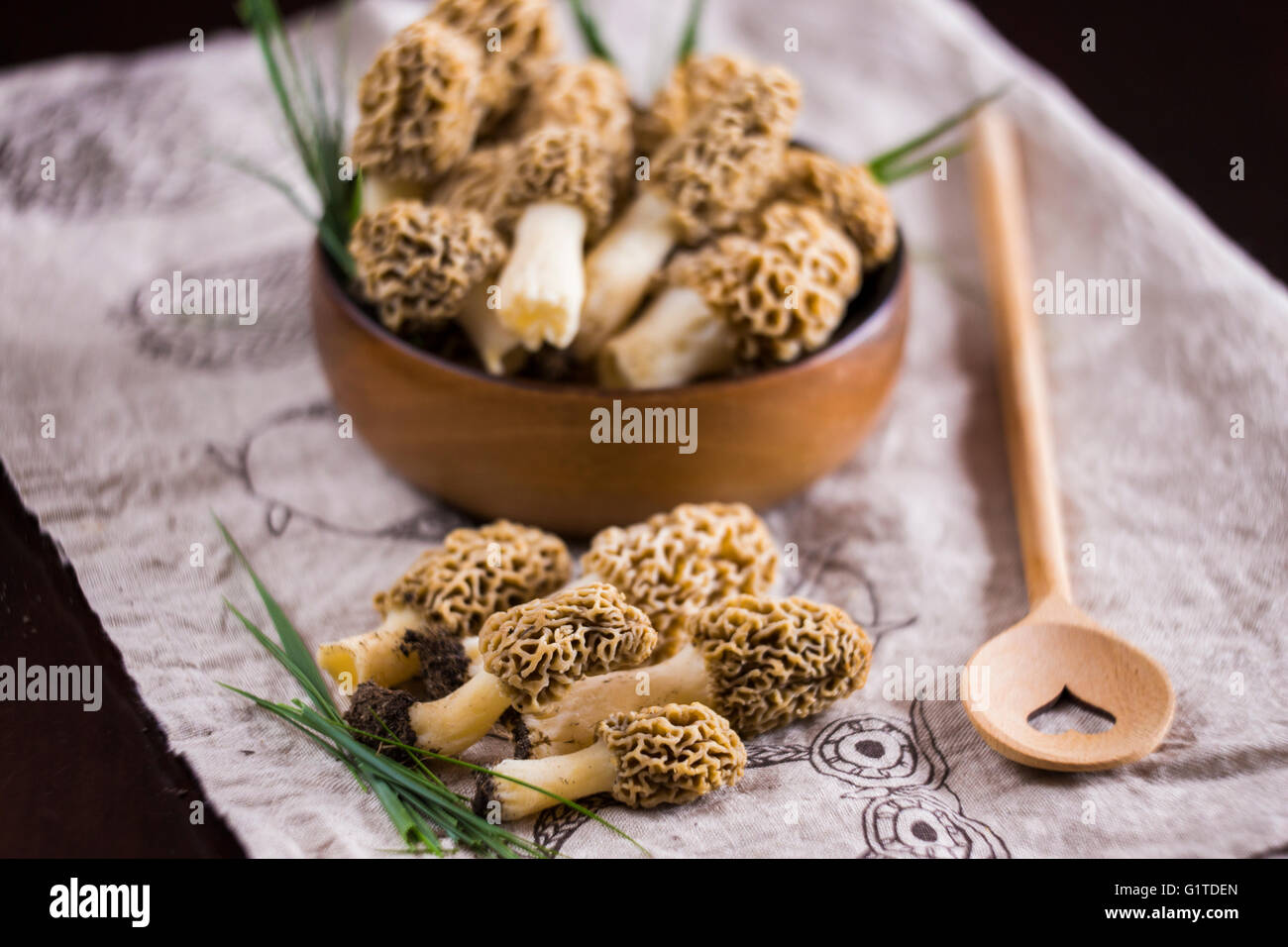 Fine cuisine, Morchella esculenta, (commonly known as common morel ...