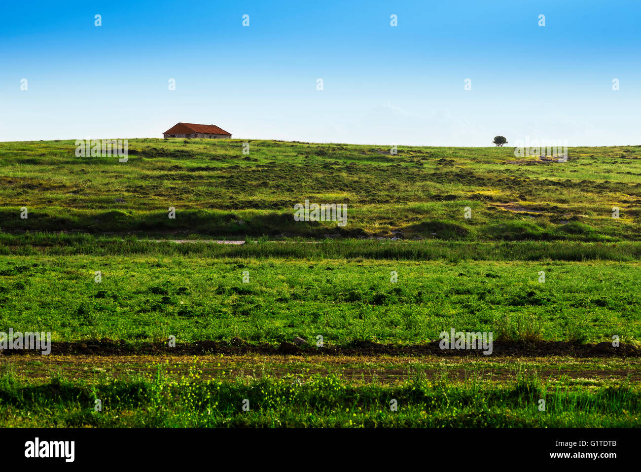 Shoot landscape hi-res stock photography and images - Alamy