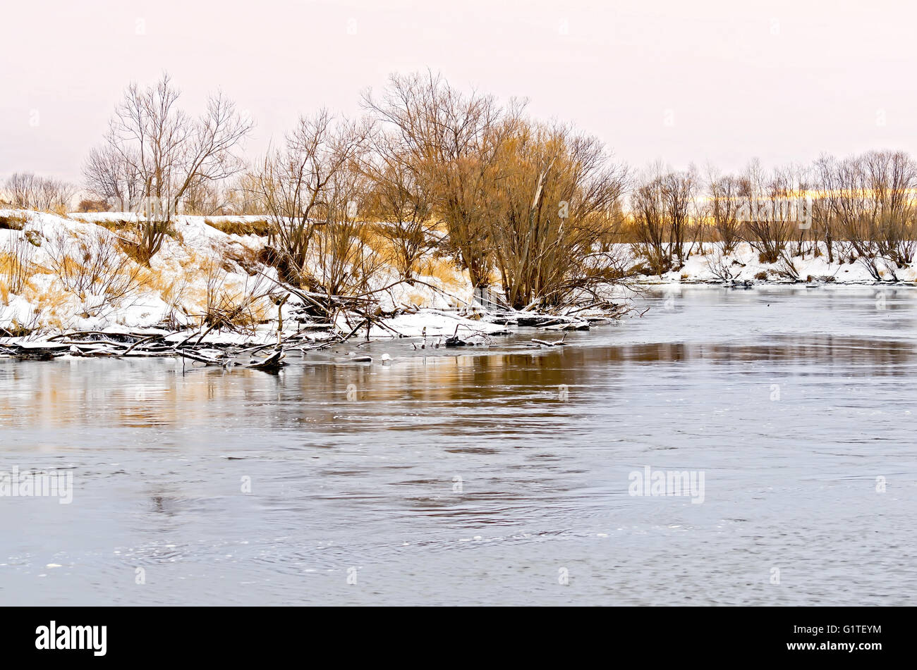 River and the snow-covered beach with trees Stock Photo - Alamy