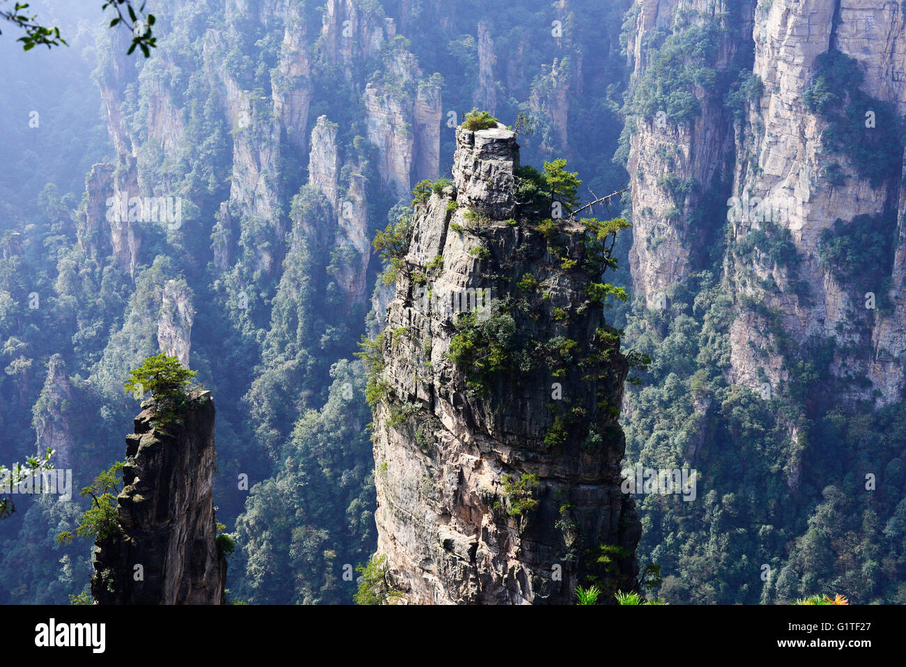 zhangjiajie national forest park in Hunan, China Stock Photo - Alamy