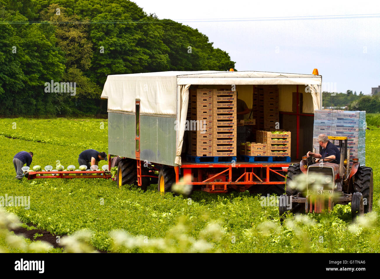 Uk farmers contract hi-res stock photography and images - Alamy