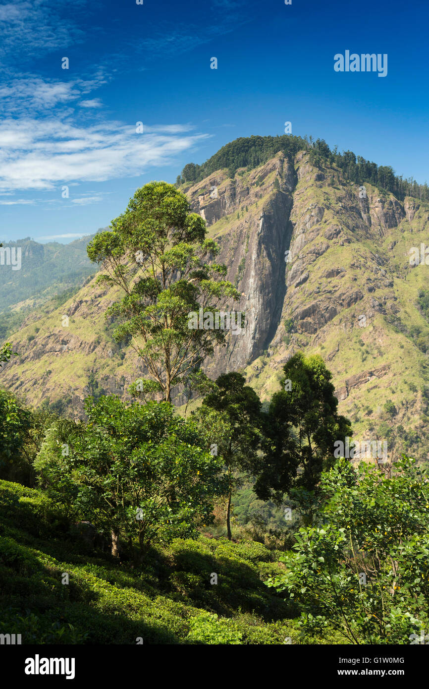 Little adams peak sri lanka hi-res stock photography and images - Alamy