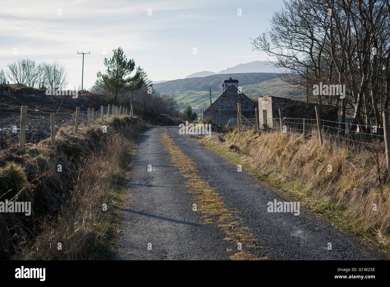 Old bog road in Ireland Stock Photo - Alamy