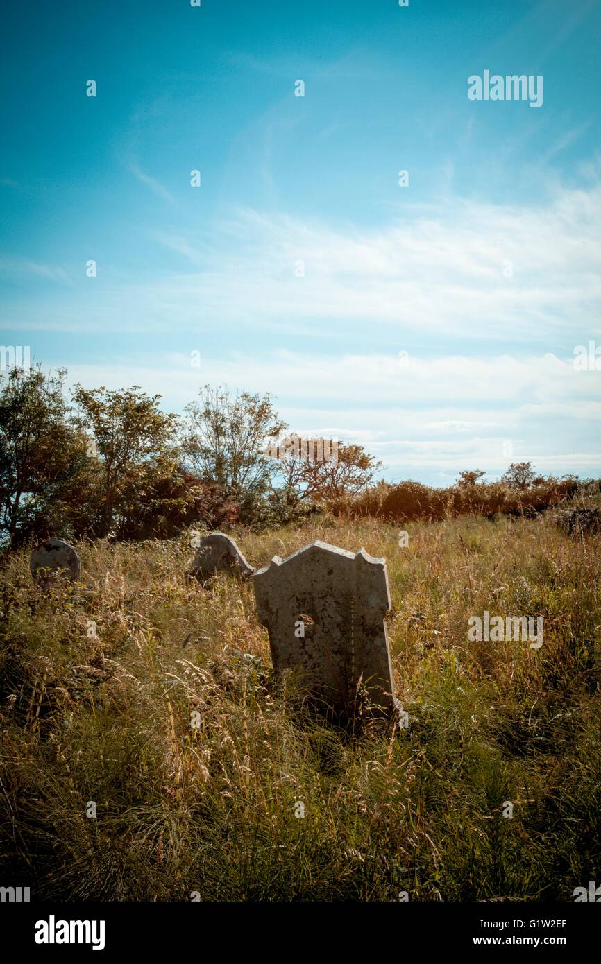 Atmospheric photo of tombstones in an overgrown graveyard Stock Photo ...