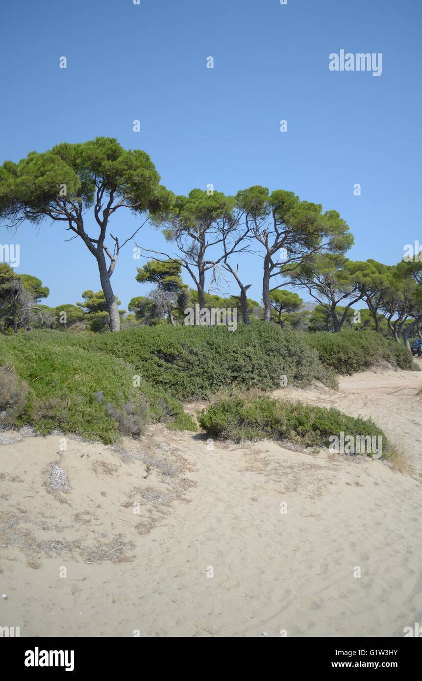 Marathonas beach hi-res stock photography and images - Alamy
