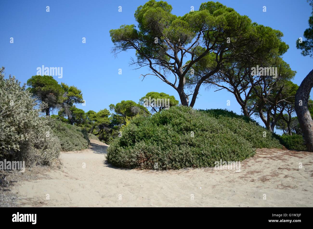 Marathonas beach hi-res stock photography and images - Alamy