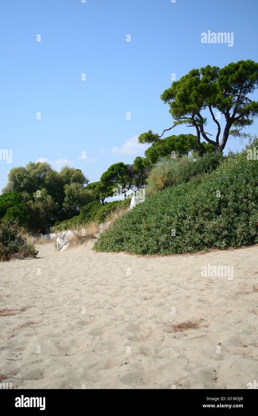 Marathónas greece hi-res stock photography and images - Alamy