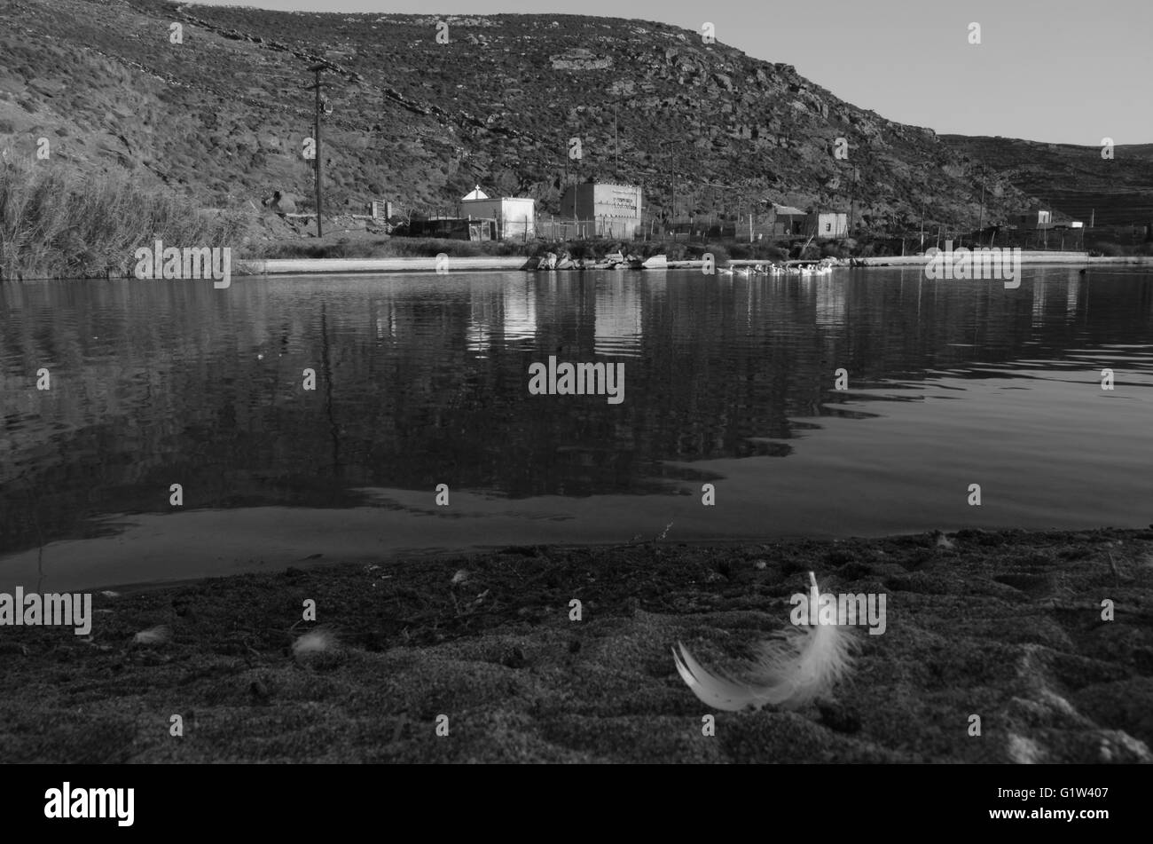 Photography of nature in the open space Stock Photo - Alamy