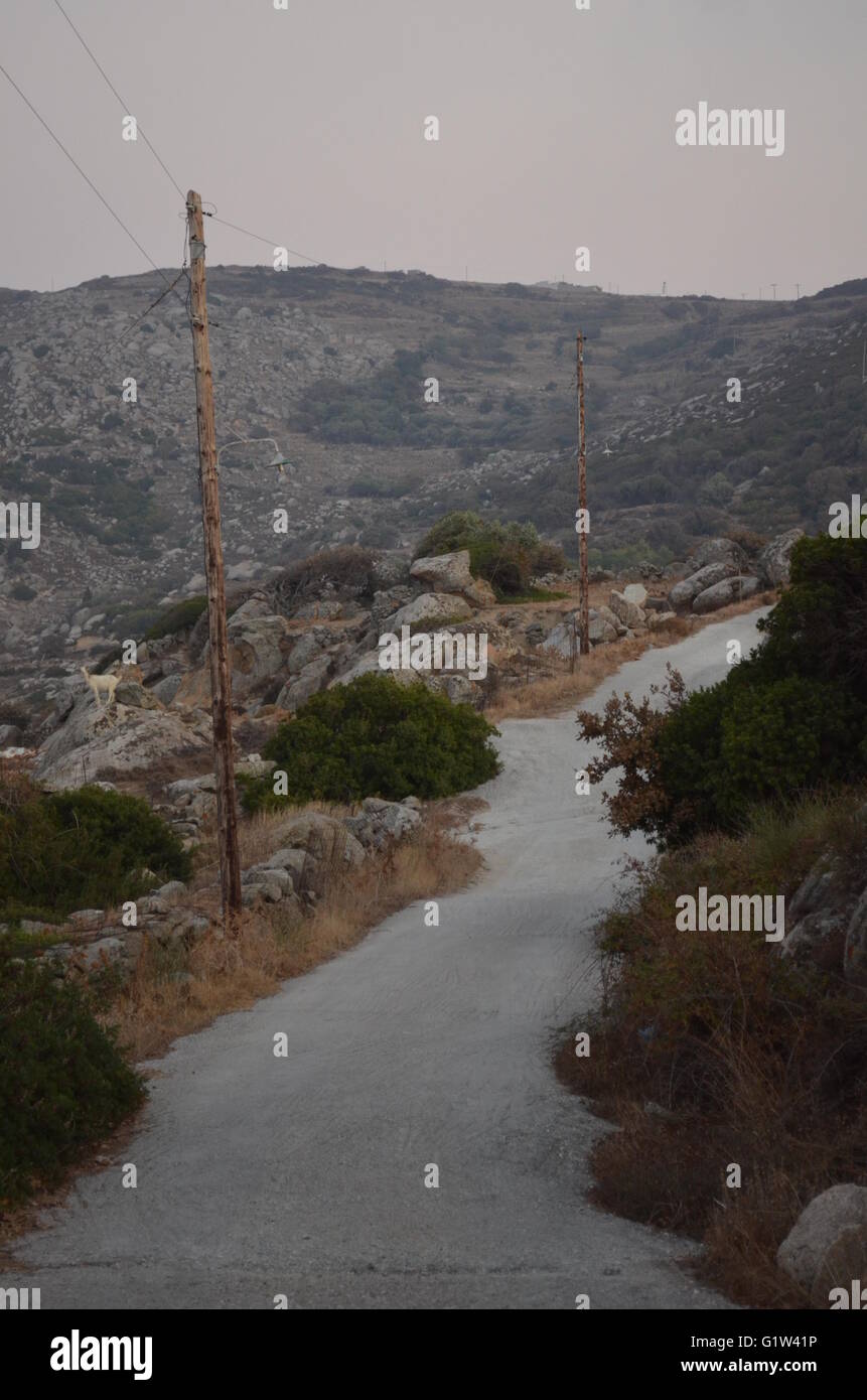 Photography of nature in the open space Stock Photo - Alamy