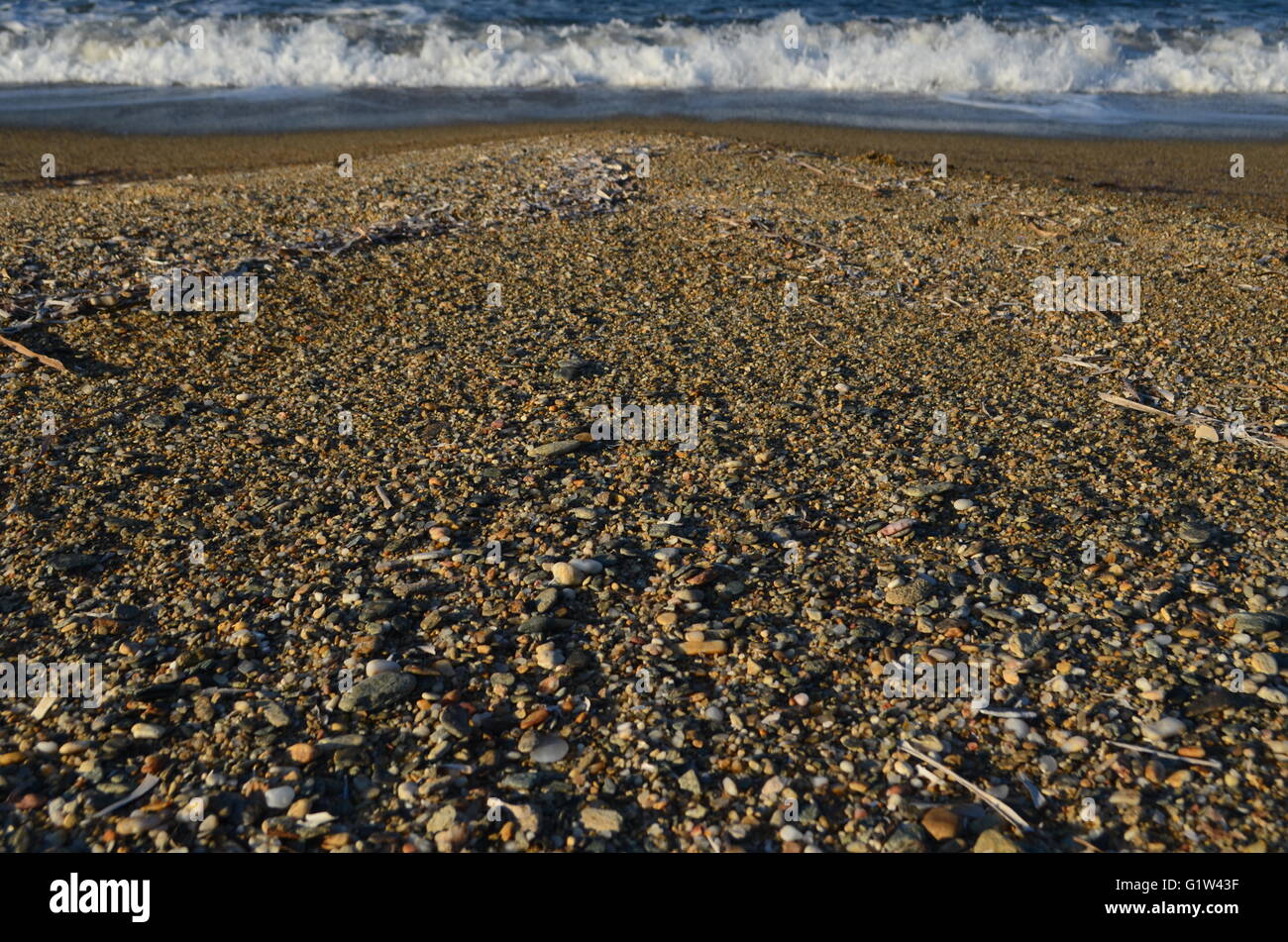 Photography of nature in the open space Stock Photo - Alamy