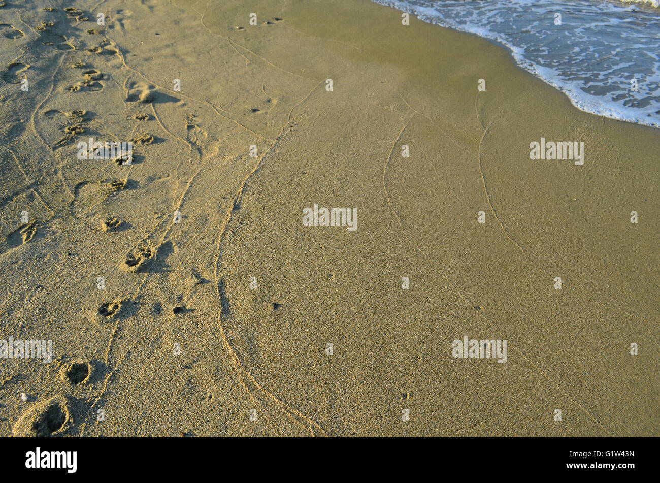 Photography of nature in the open space Stock Photo - Alamy
