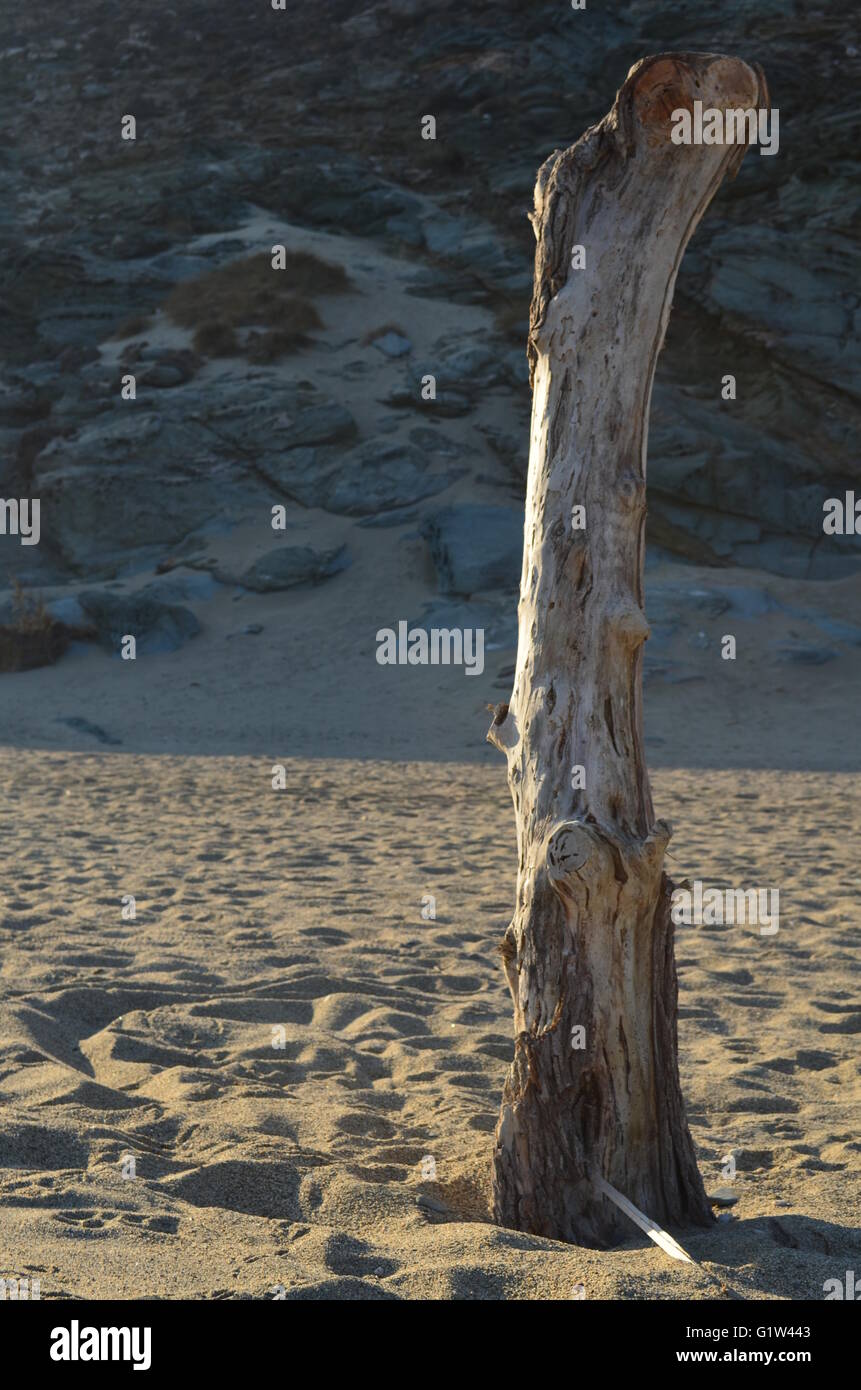 Photography of nature in the open space Stock Photo - Alamy