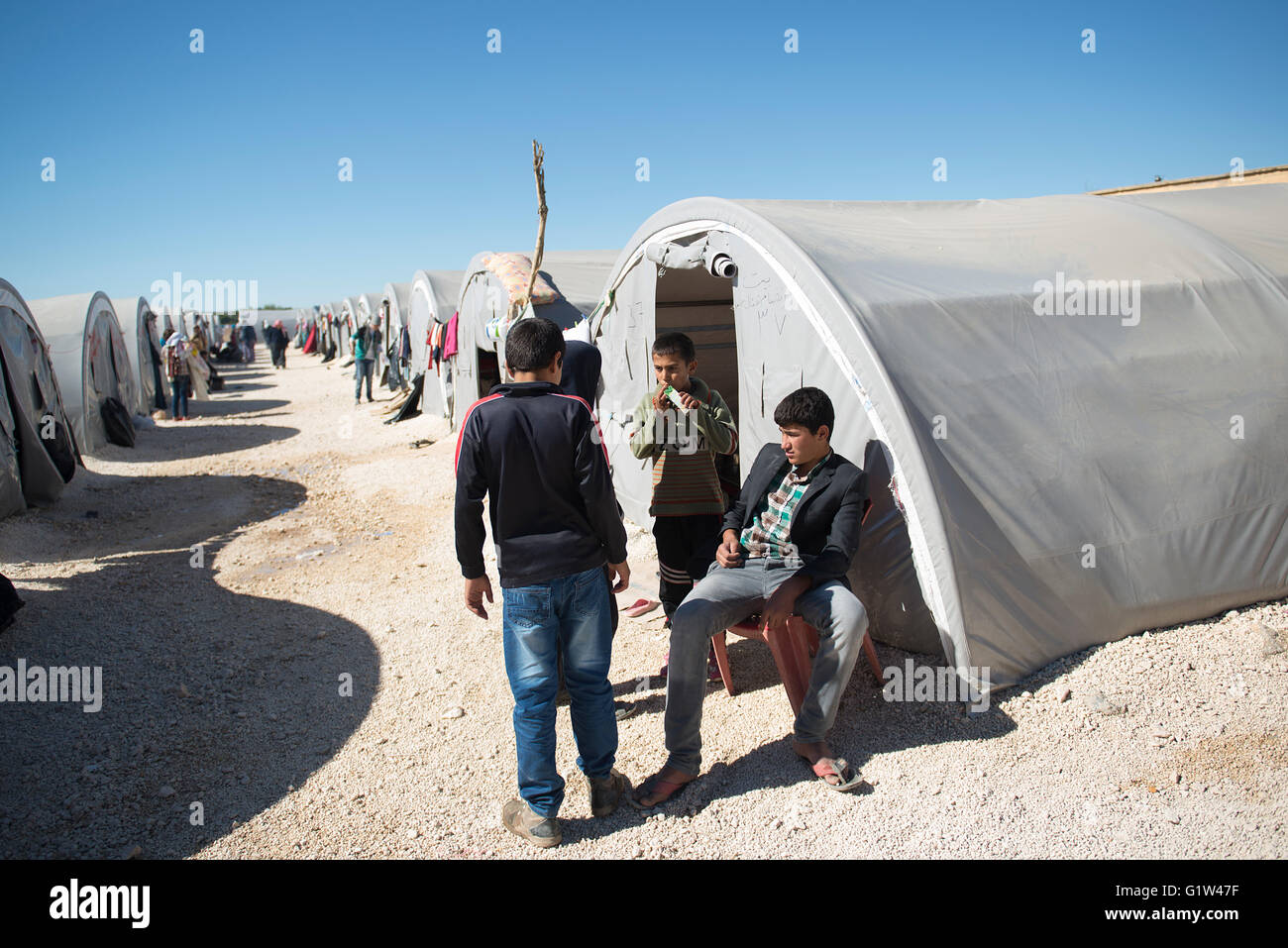 Kurdish refugee boys stand outside their tent, at a refugee camp in the ...
