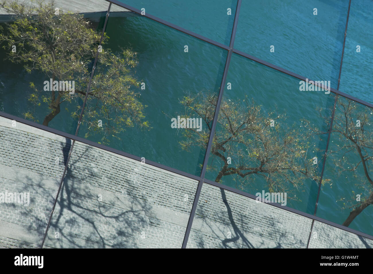 Reflection of trees on the glass wall of a modern building Stock Photo ...