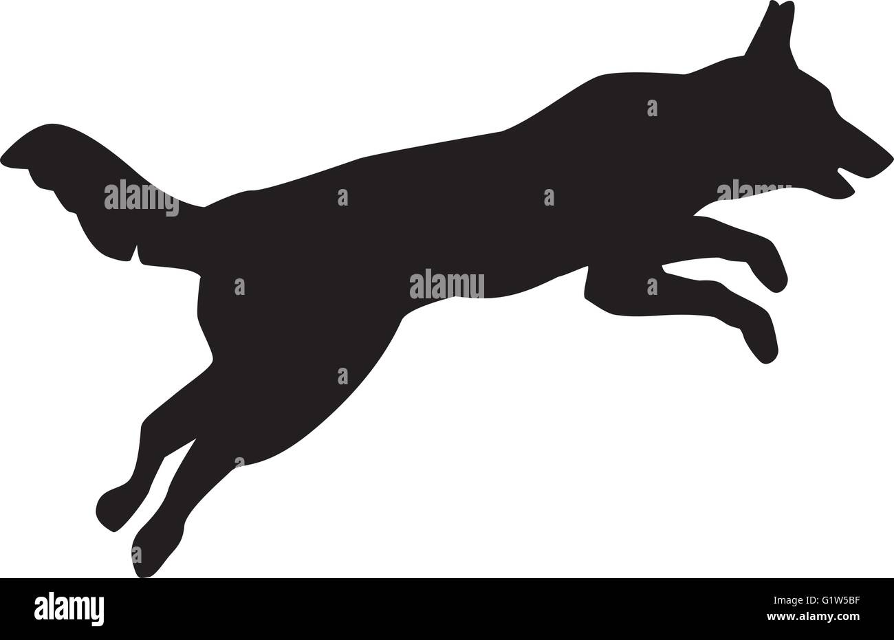 Dog agility Stock Vector Images - Alamy