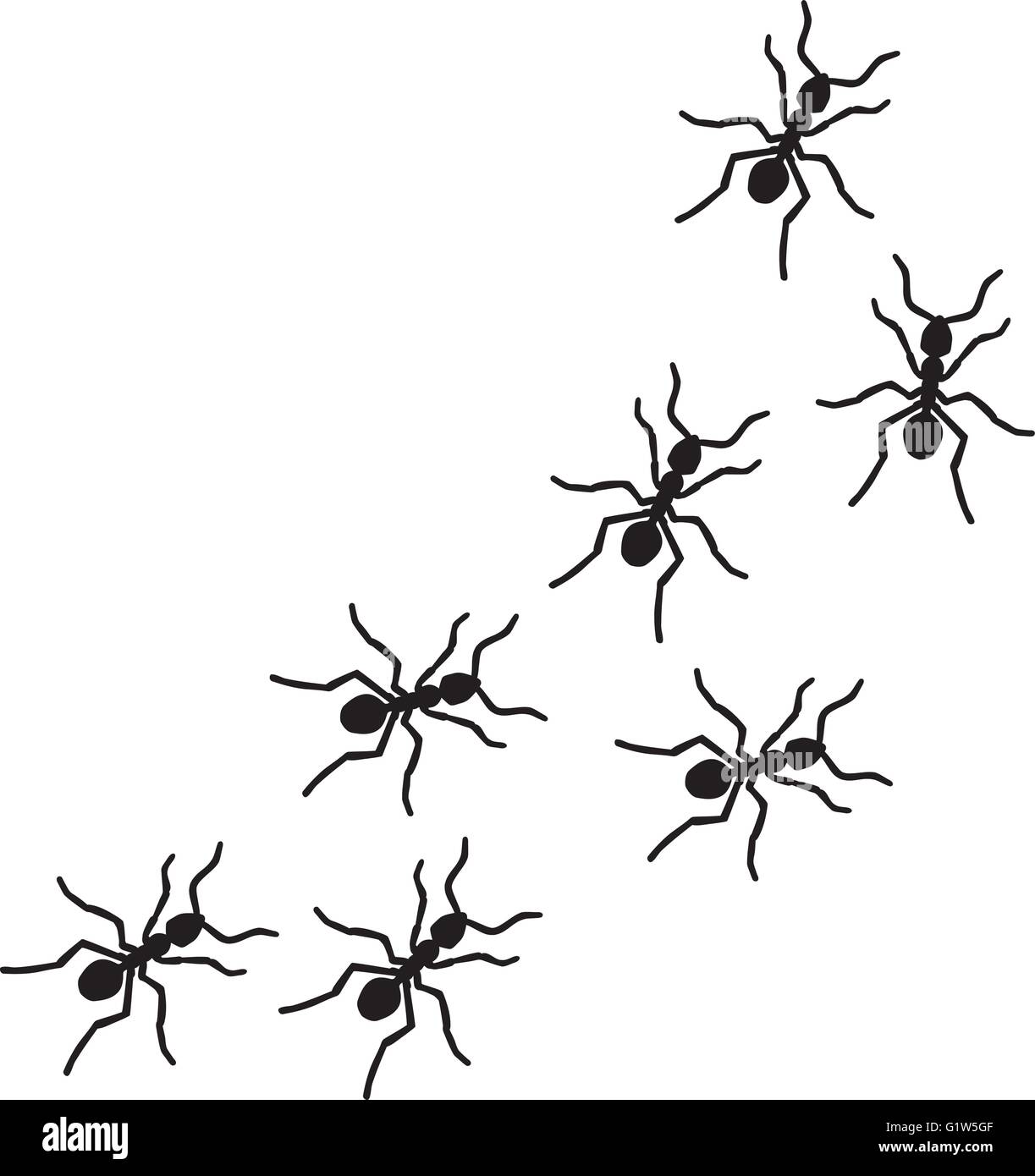 Group of ants Stock Vector Image & Art - Alamy