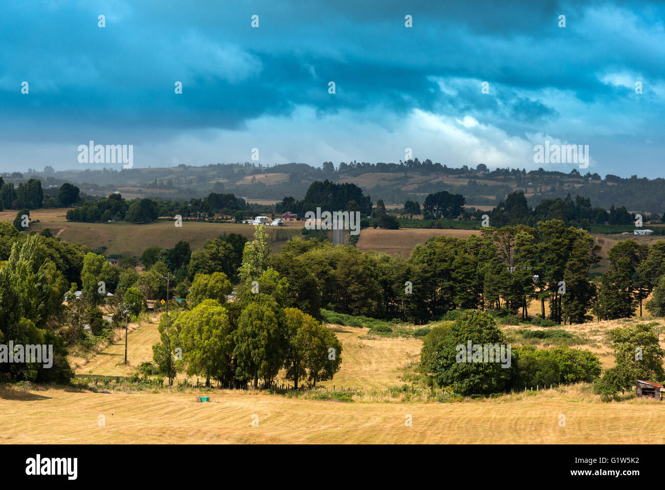 Meadows at Peninsula of Rilan, Chiloe Island, Chile Stock Photo - Alamy