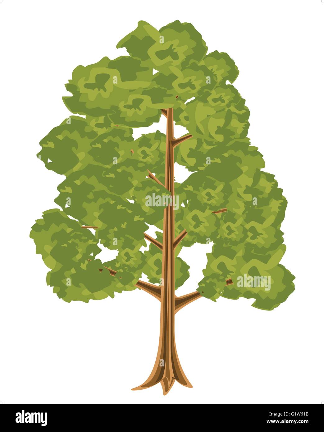 Illustration high tree with sheet on white background Stock Vector ...