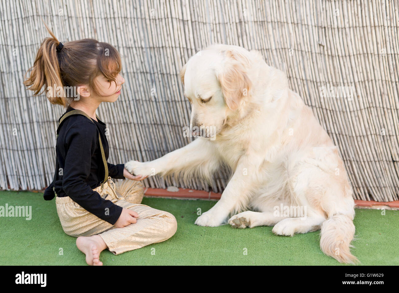 Little girl with her dog with signs of affection Stock Photo - Alamy