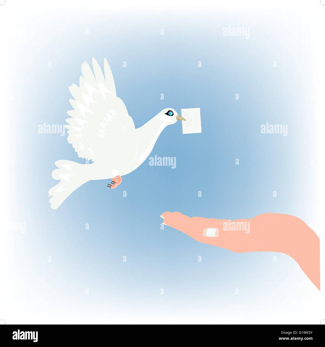 White dove with letter and stretching feminine hand Stock Vector Image ...