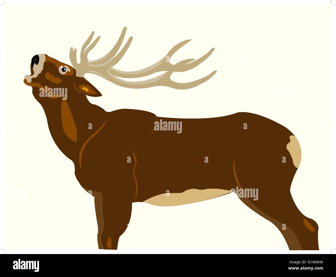 Ungulate animal deer on white background Stock Vector Image & Art - Alamy