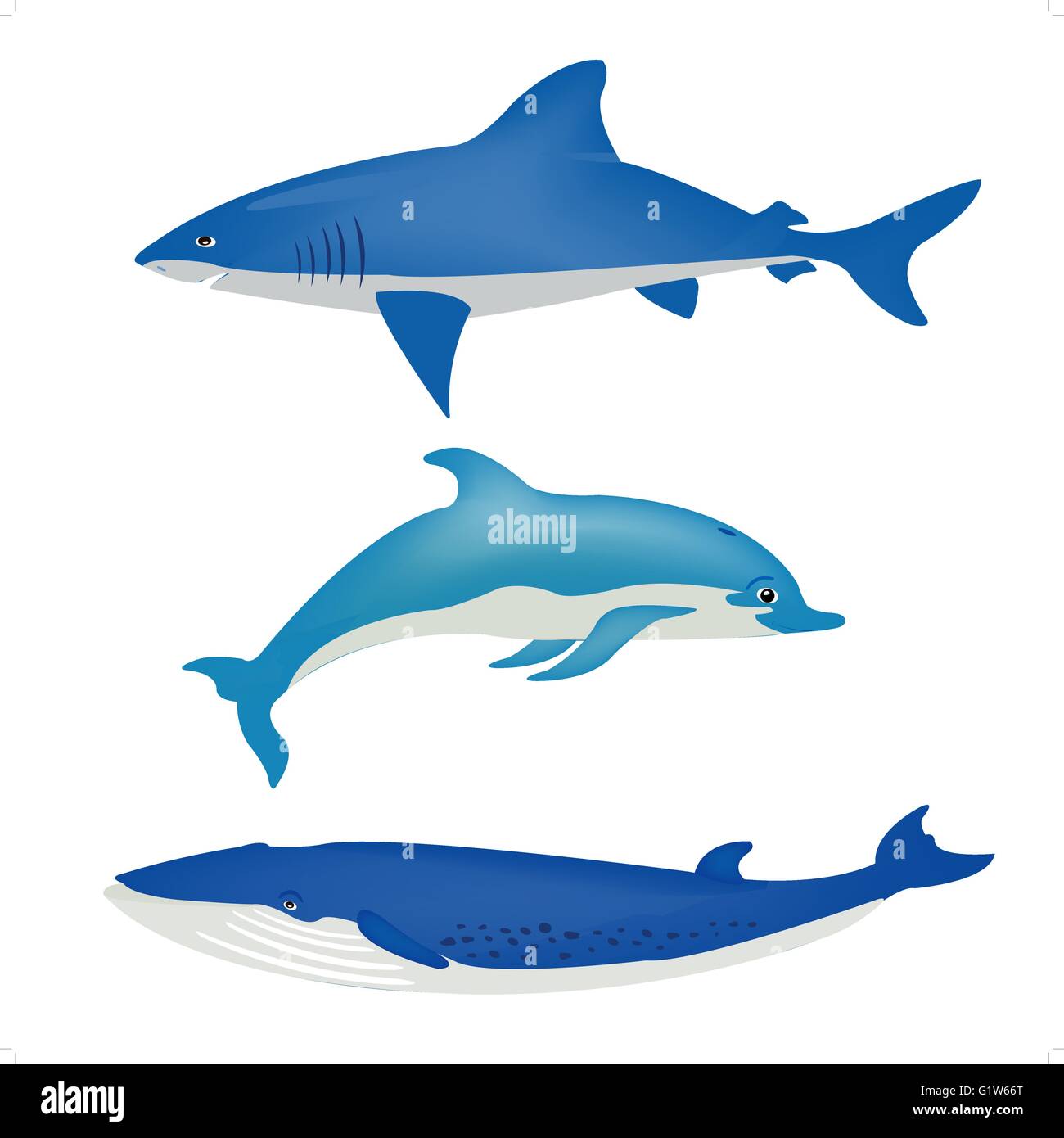 Sea animals on white background Stock Vector Image & Art - Alamy