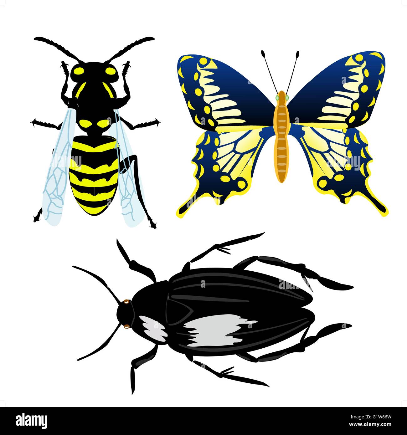 Insect butterfly,bee and bug on white background Stock Vector Image ...
